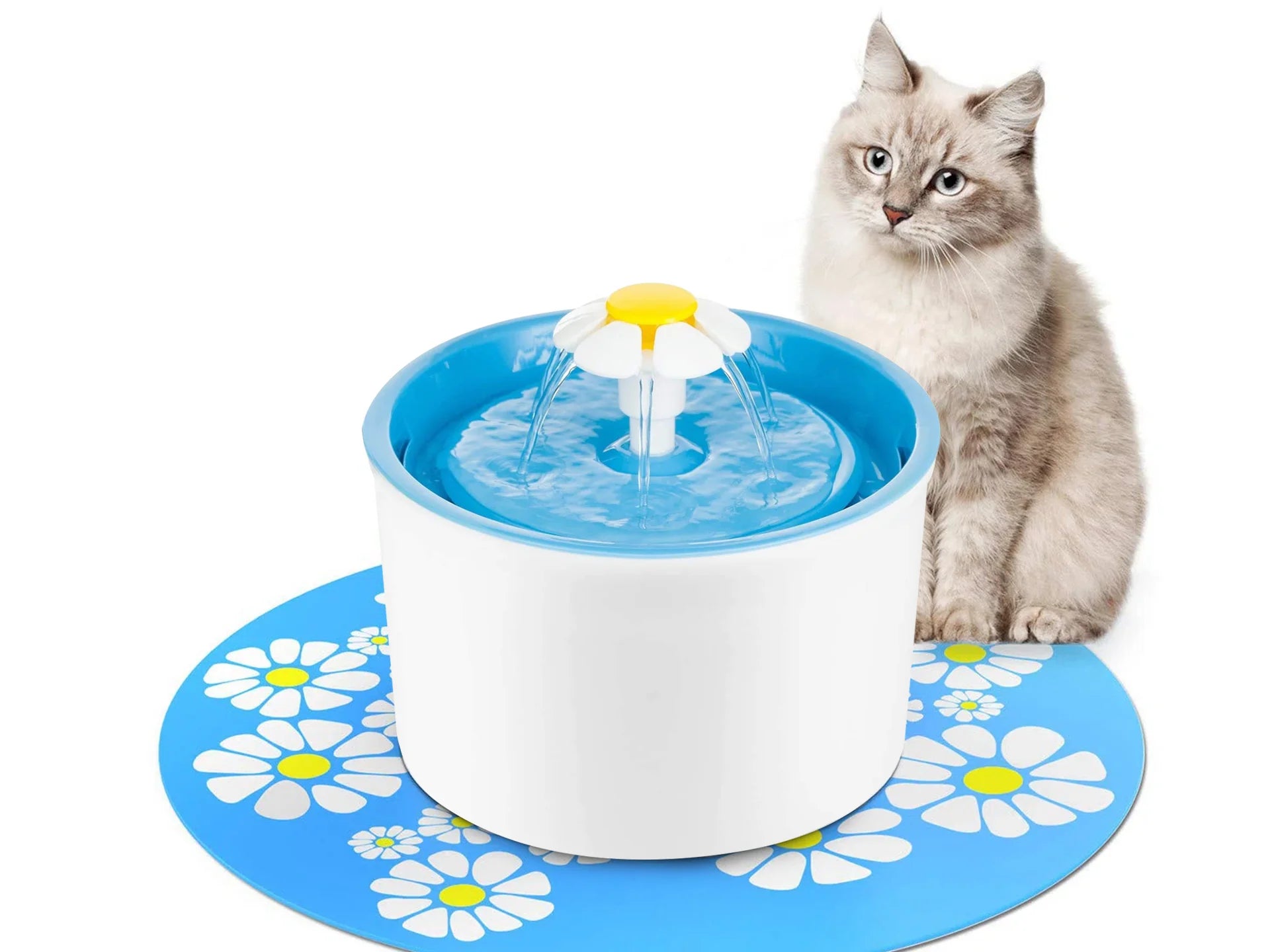 Hydration for Health: Pet Water Fountains Explained