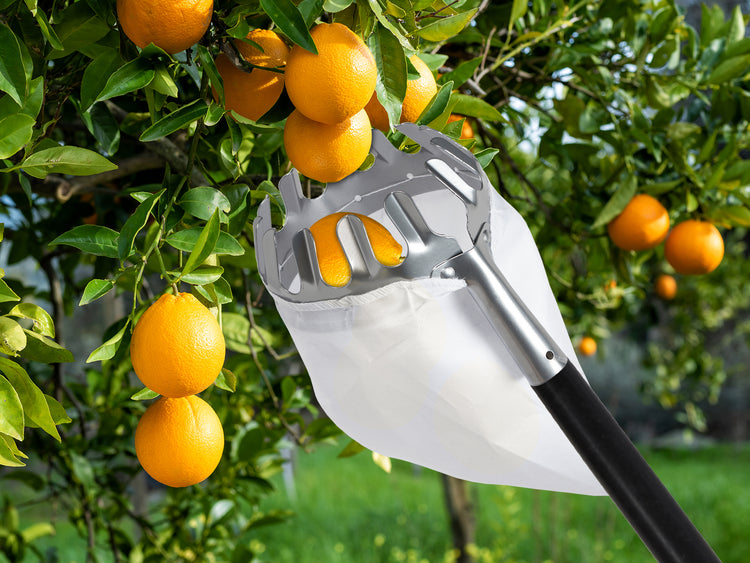 Orchard Fruit Picking Tool